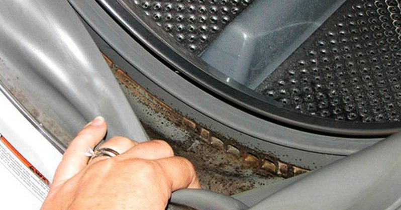 Mold In Washing Machine - How To Safely Remove Smelly Mold