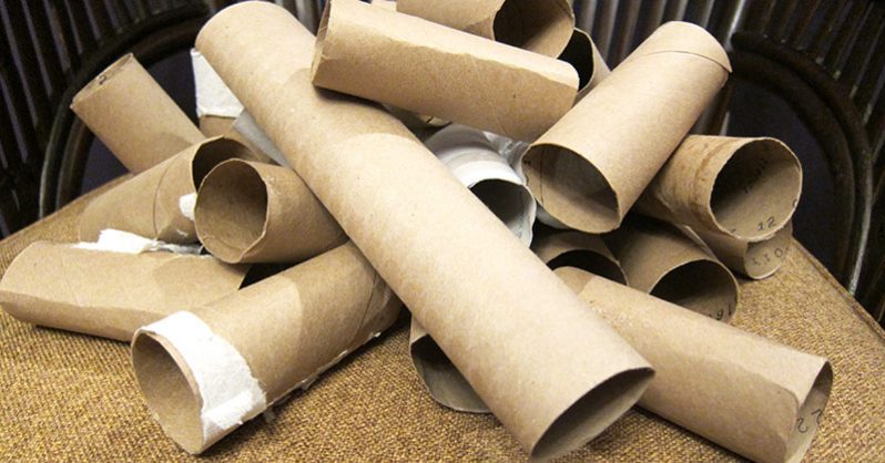 11 Ways to Reuse Paper Towel Rolls - The Hearty Soul