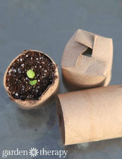 11 Ways to Reuse Paper Towel Rolls - The Hearty Soul : The Hearty Soul