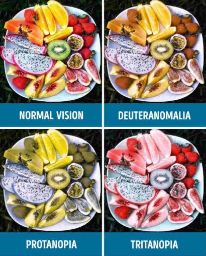 Test Yourself For The 4 Types Of Colorblindness - The Hearty Soul : The ...