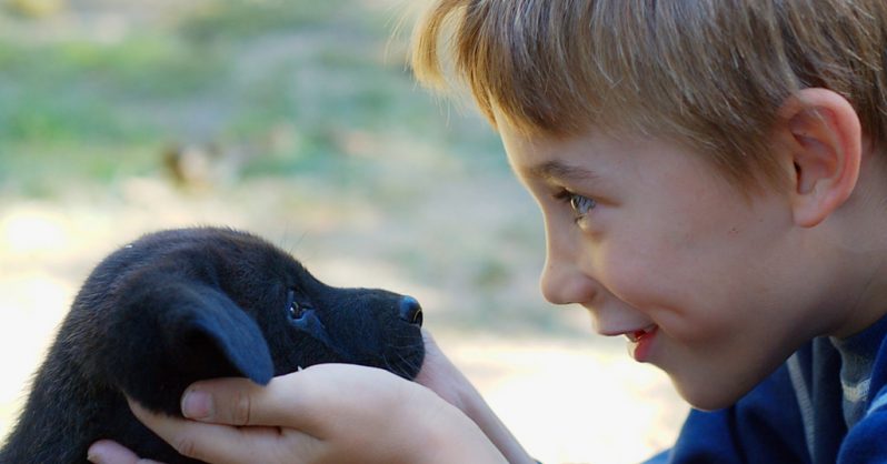 10 Tiny Actions You Didn’t Realize Your Dog Actually Loves (and Needs)