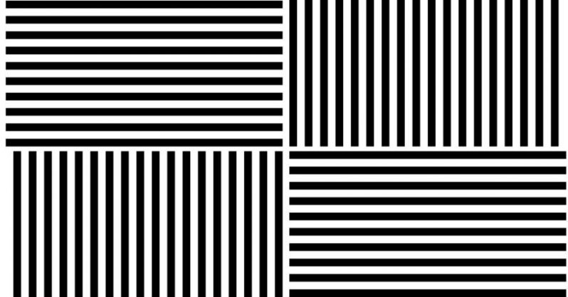 Studies Say Only 1% Of People Can Find The Animal In This Picture. Can You?