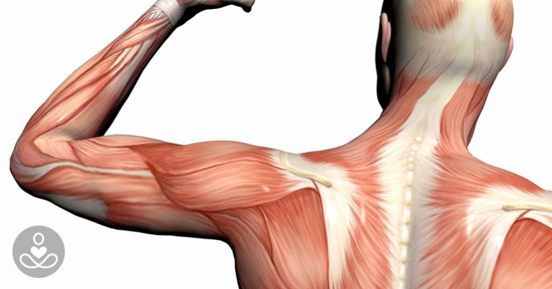 6 Natural Remedies to Relieve Frozen Shoulder Stiffness