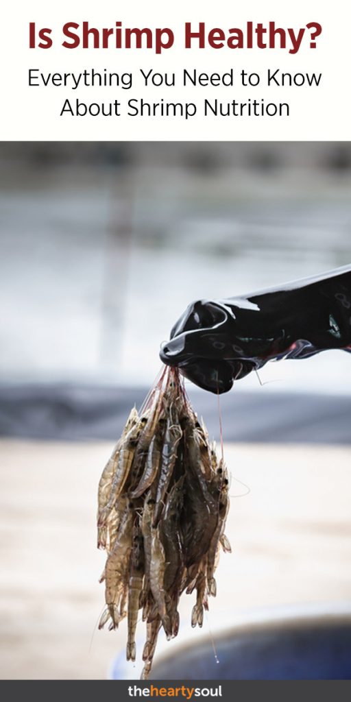 Is Shrimp Healthy? Everything You Need to Know About Shrimp Nutrition