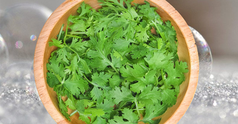 Why Does Cilantro Taste Like Soap to Some? Let's Dig In And Find Out
