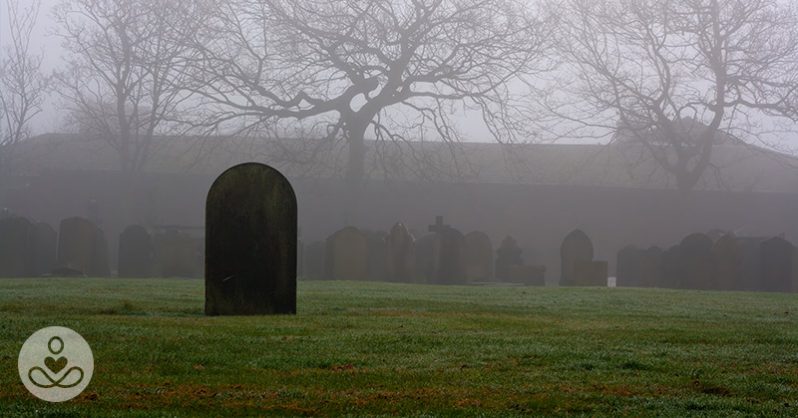 Fertile Soil over Ashes: Washington Becomes First US State to Legalize ...