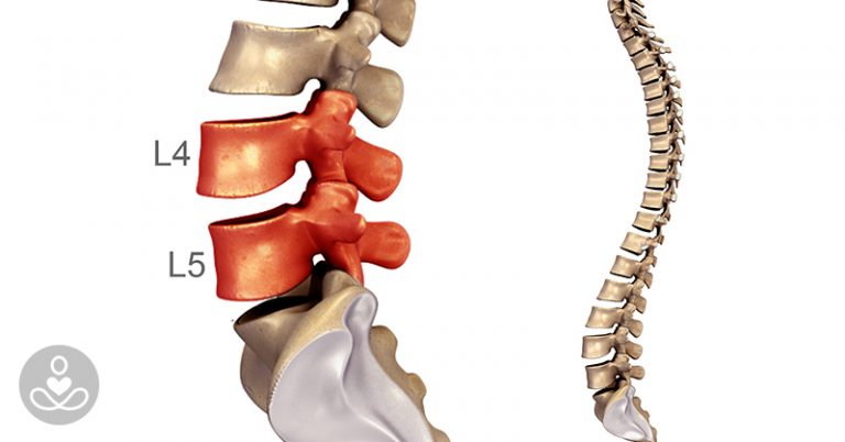 What To Know About Your L4-L5 Spinal Segment - The Hearty Soul : The ...