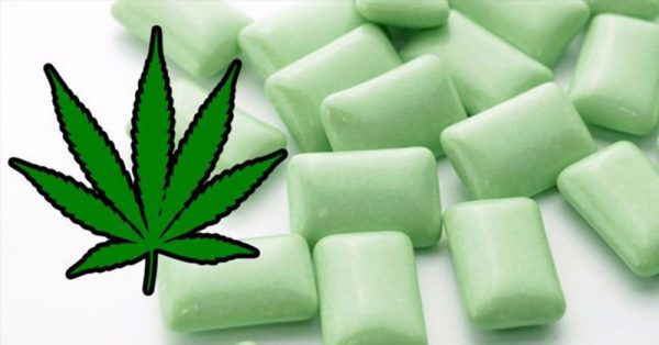Cannabis Gum: Would You Try Chewing Your Way To Pain Relief?