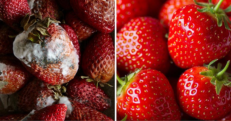 10 Hacks to Keep Your Produce Fresh