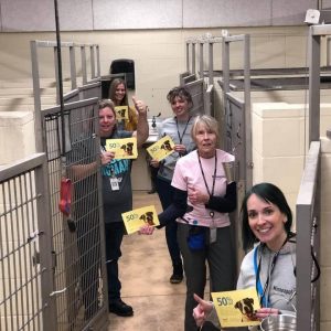 Every Animal in the Minneapolis Care Shelter Was Adopted For the Holidays