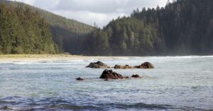 There are Ancient Ruins Older Than The Pyramids In Canada