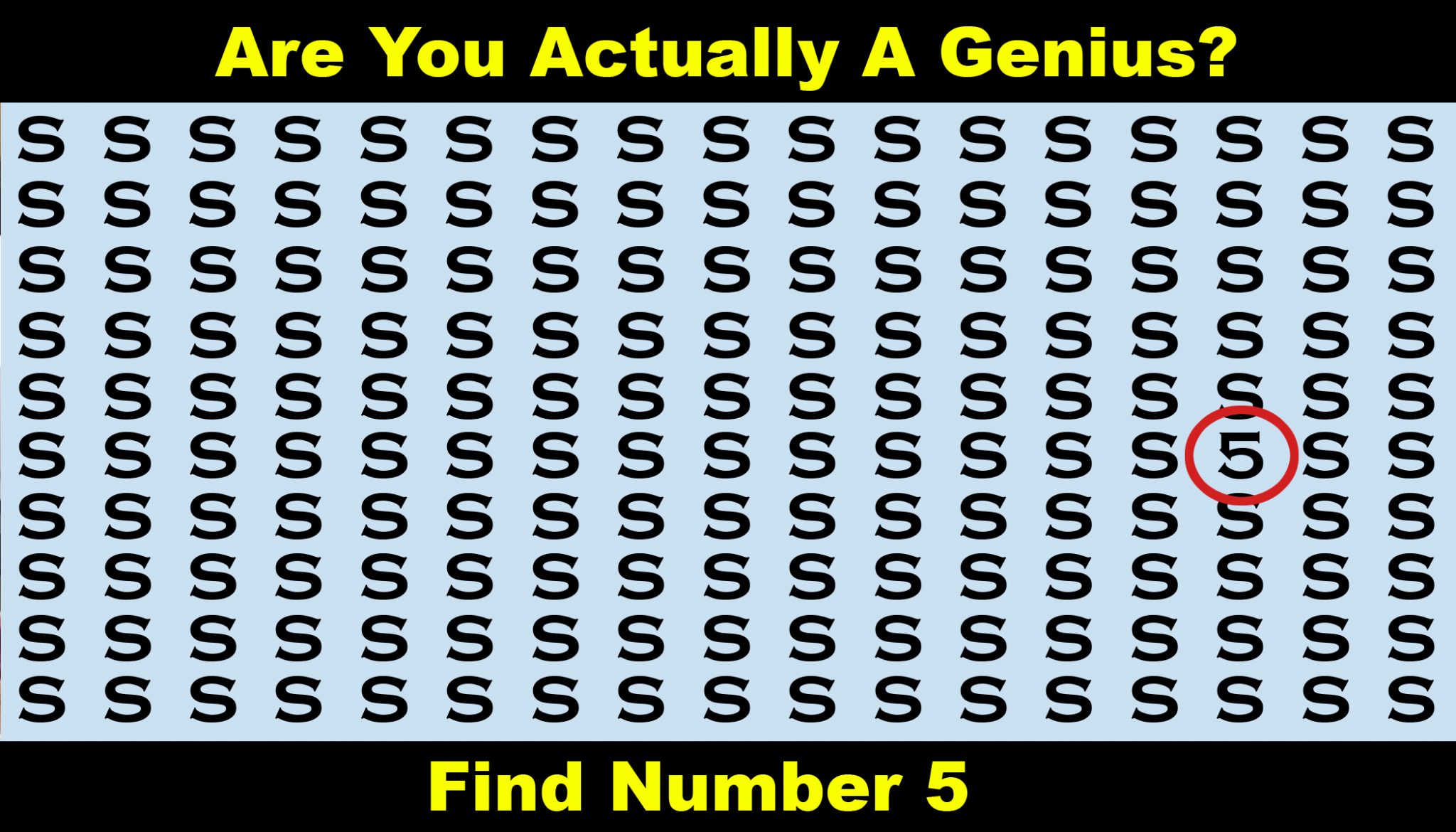 How Fast Can You Find The Odd Turtle In This Picture? : The Hearty Soul