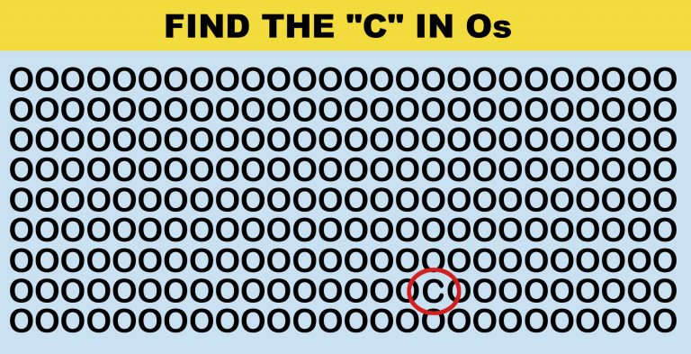 How Fast Can You Find The Odd Turtle In This Picture? : The Hearty Soul