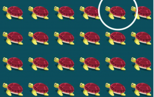 How Fast Can You Find The Odd Turtle In This Picture? : The Hearty Soul