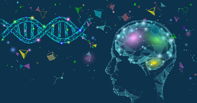 The Best Things You Can Do to Optimize Brain Function Now : The Hearty Soul