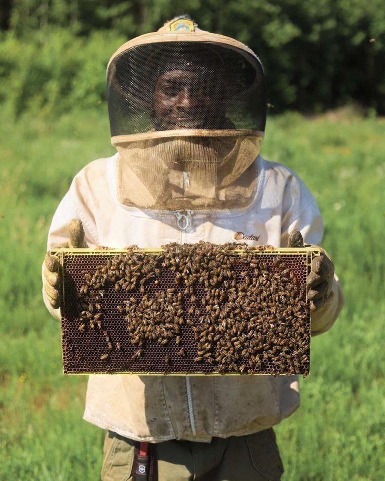 Farming Teens: Teenagers Gain Confidence Raising Bees and Growing Crops ...