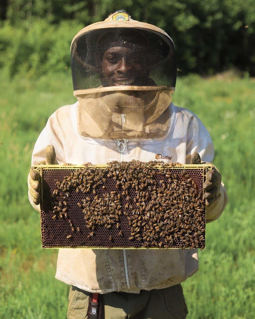 Farming Teens: Teenagers Gain Confidence Raising Bees and Growing Crops ...