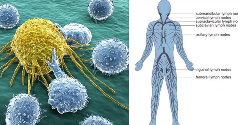 Lymphatic health: How to keep your lymphatic system healthy