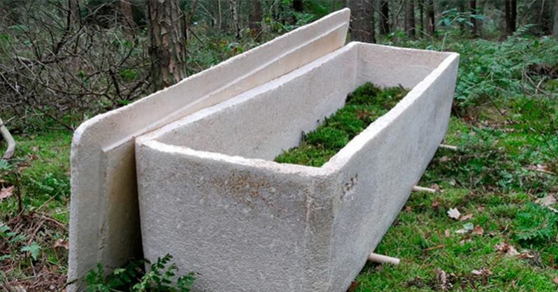 World’s first living coffin made of mushroom mycelium gives human ...