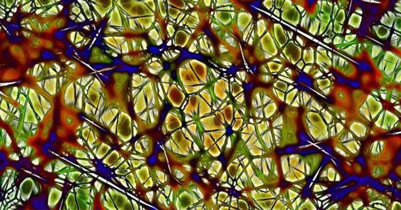 MS treatment a step closer after drug shown to repair nerve coating
