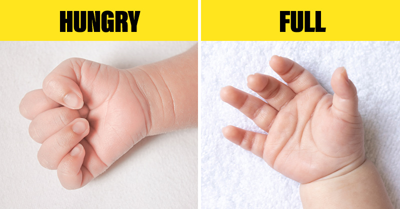 12 Signs That Can Help You Understand Your Baby Better