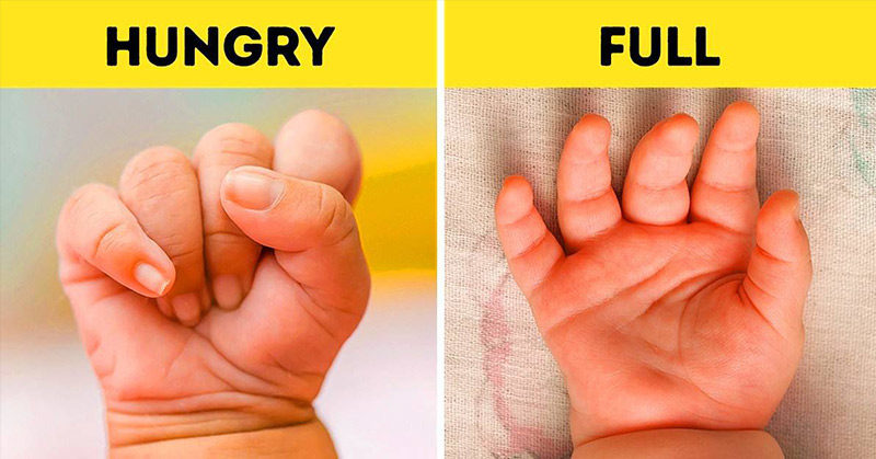 12 Signs That Can Help You Understand Your Baby Better