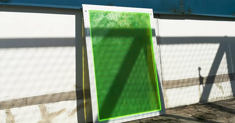 Student Invented Solar Windows Made from Rotten Vegetables