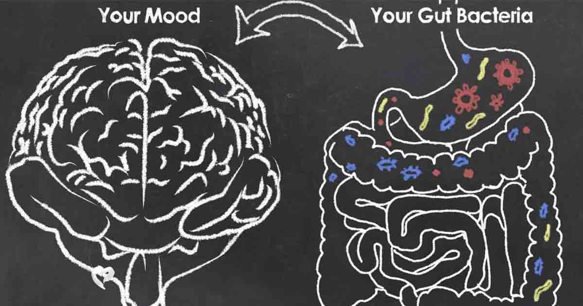 7 Easy Ways to Improve Your Gut Health: Recognize The Signs of an ... 7 Easy Ways to Improve Your Gut Health: Recognize The Signs of an ...
