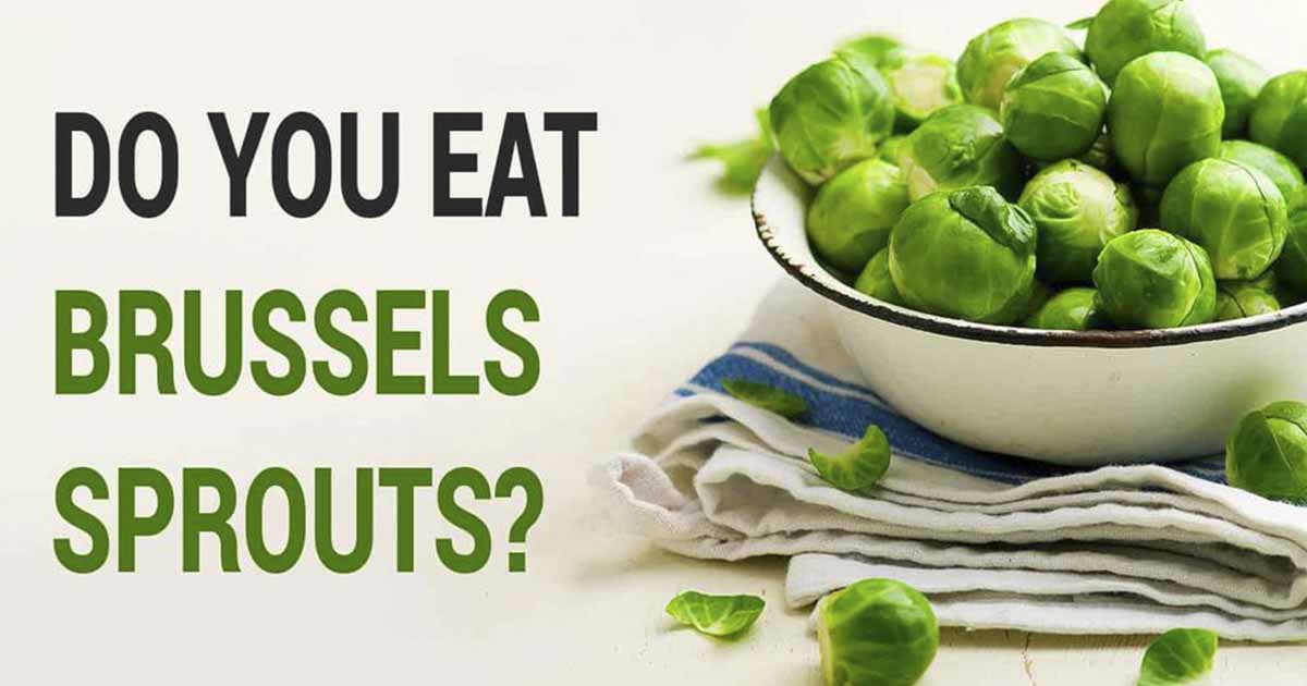 Eat Brussel Sprouts Regularly, Your Body Will Thank You