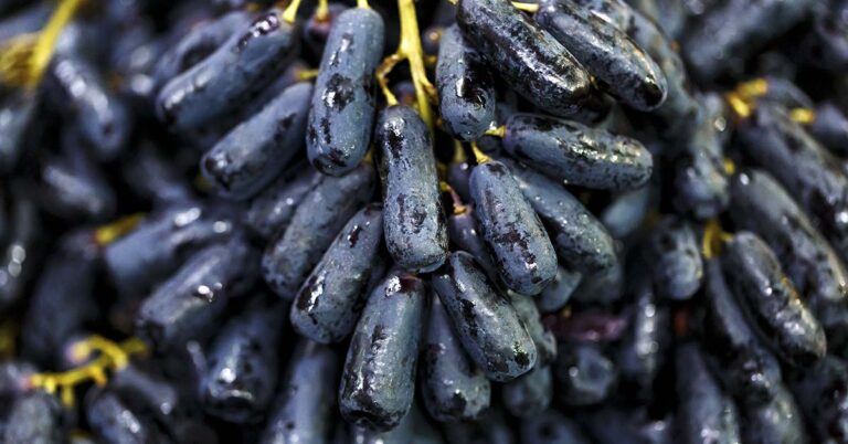 What Are Moon Drop Grapes?