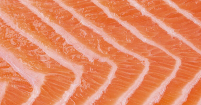 Plant-based salmon fillet looks, cooks, and tastes like the real thing ...