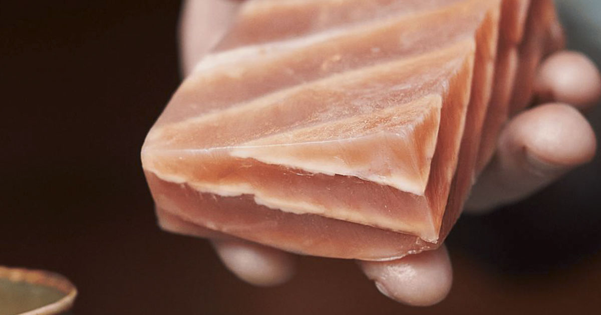 Plant-based salmon fillet looks, cooks, and tastes like the real thing ...