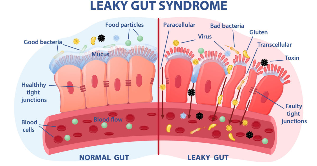 7 warning signs of collagen deficiency that everyone should know : The ...