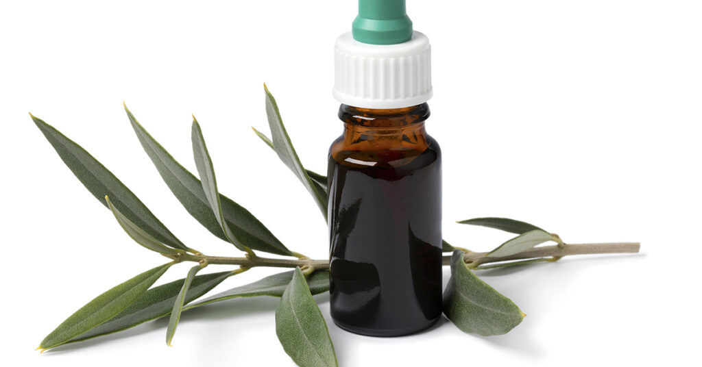 4 Benefits of Olive Leaf Extract
