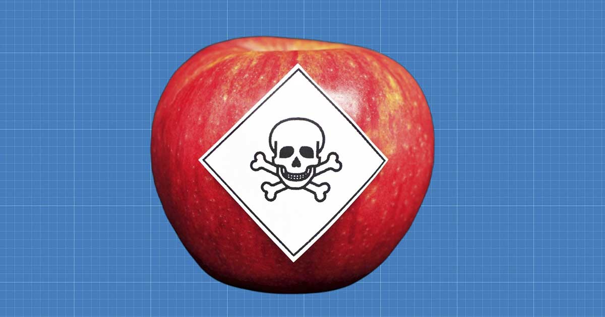 8 of The Most Dangerous Foods in the World