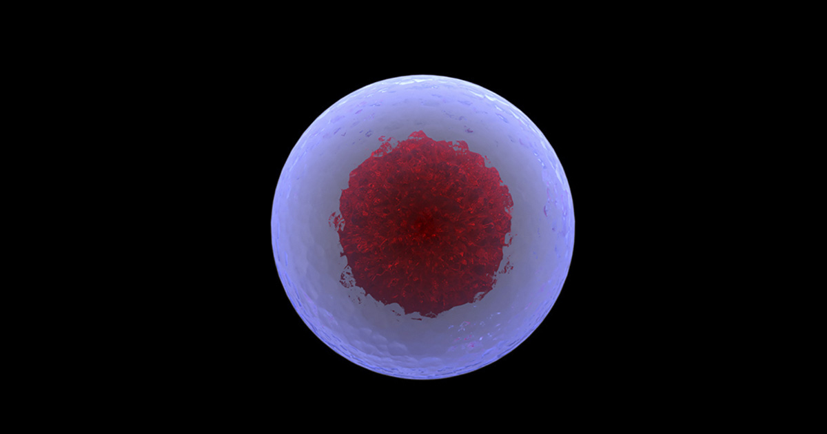 Smart stem cells made from fat have the power to heal
