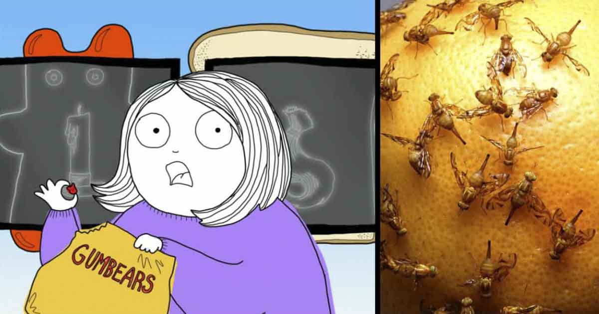 26 Weird Ingredients Found in Food