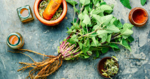 8 Best Herbs for Memory and Brain Health : The Hearty Soul
