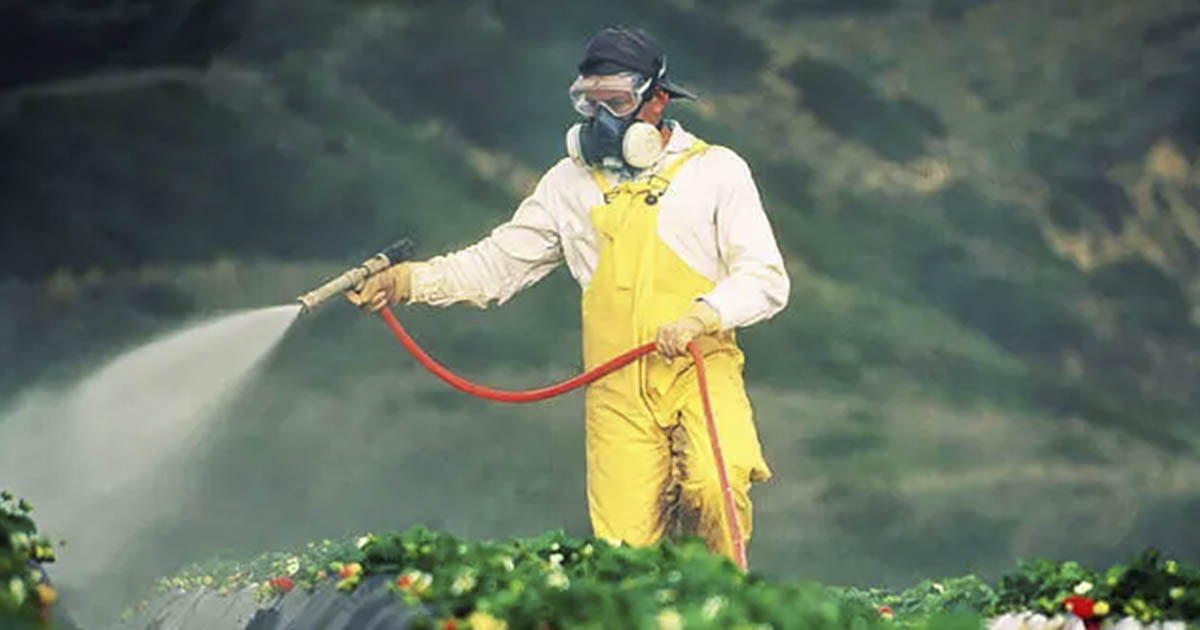 The Best Way to Remove Pesticides from Your Fruit and Vegetables