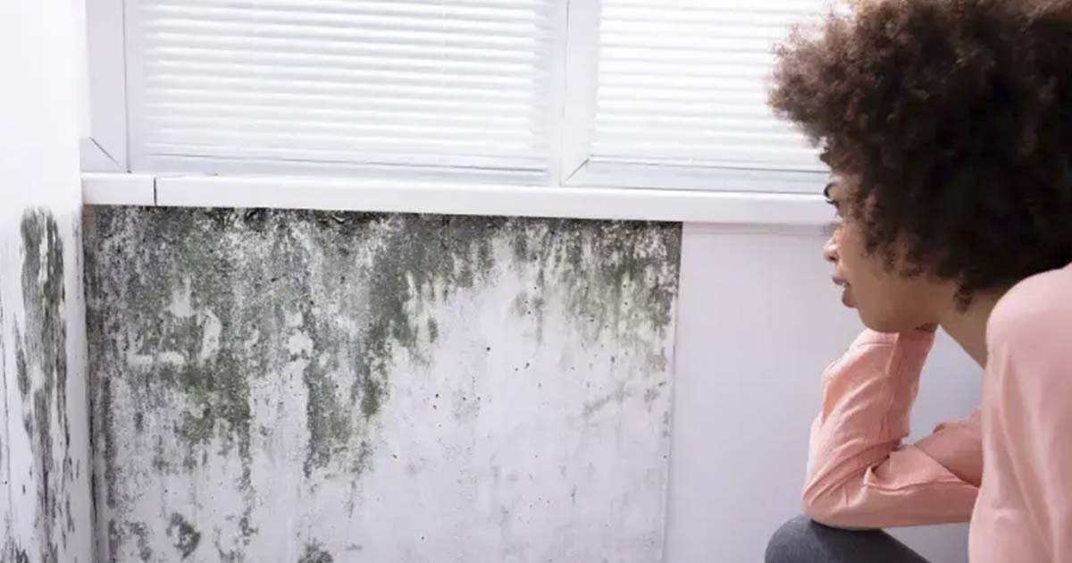 Mold Exposure: Signs, Symptoms, and Treatment : The Hearty Soul