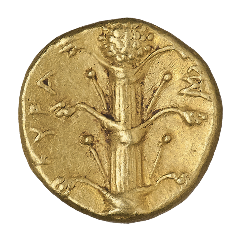 Silphium: The Lost Wonder Drug of the Romans : The Hearty Soul