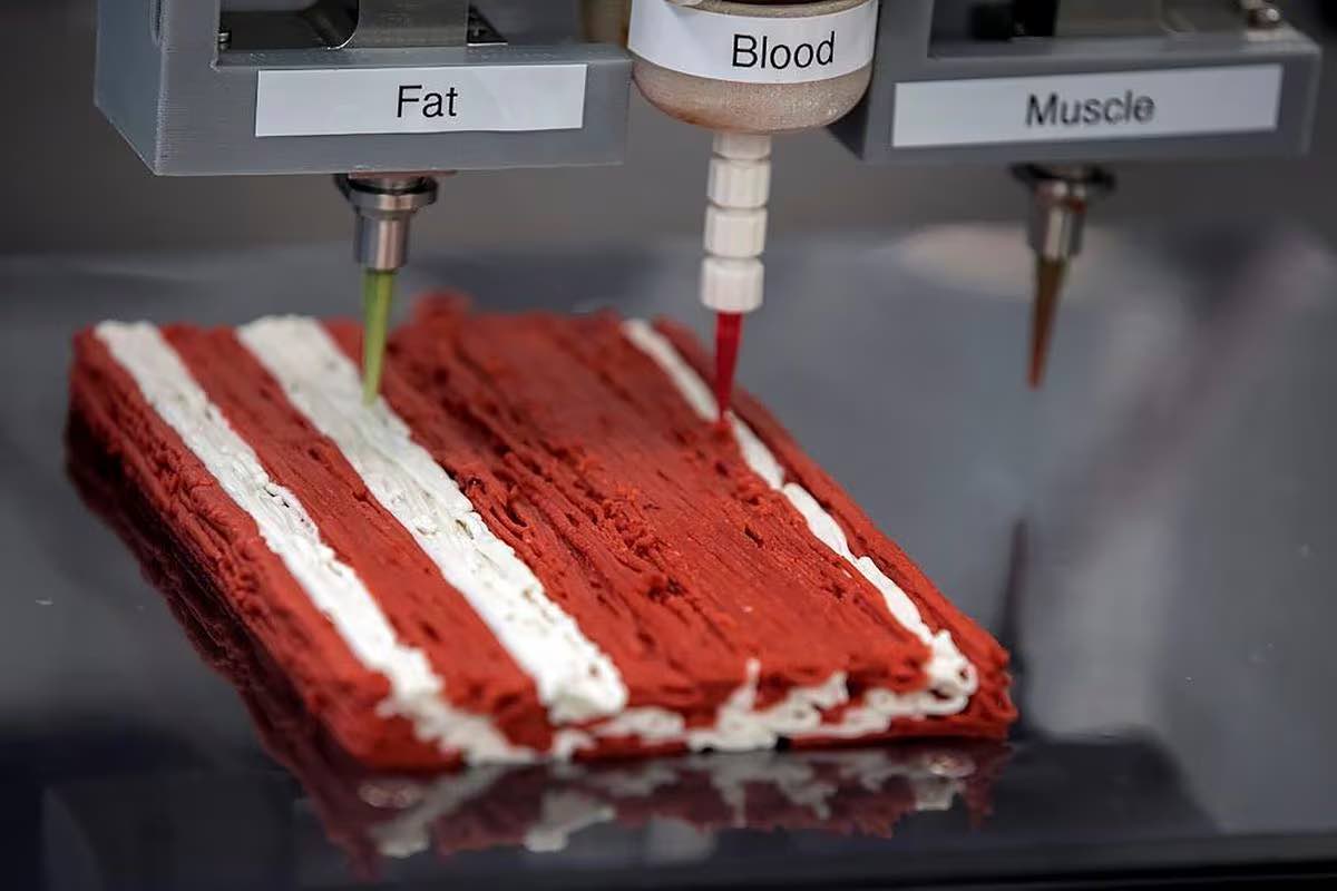 This Factory in Holland Is 3d Printing 500 Tonnes of Steaks a Month