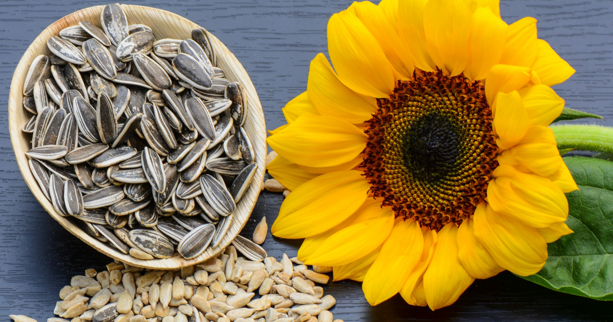 27 Foods That Can Give You More Energy