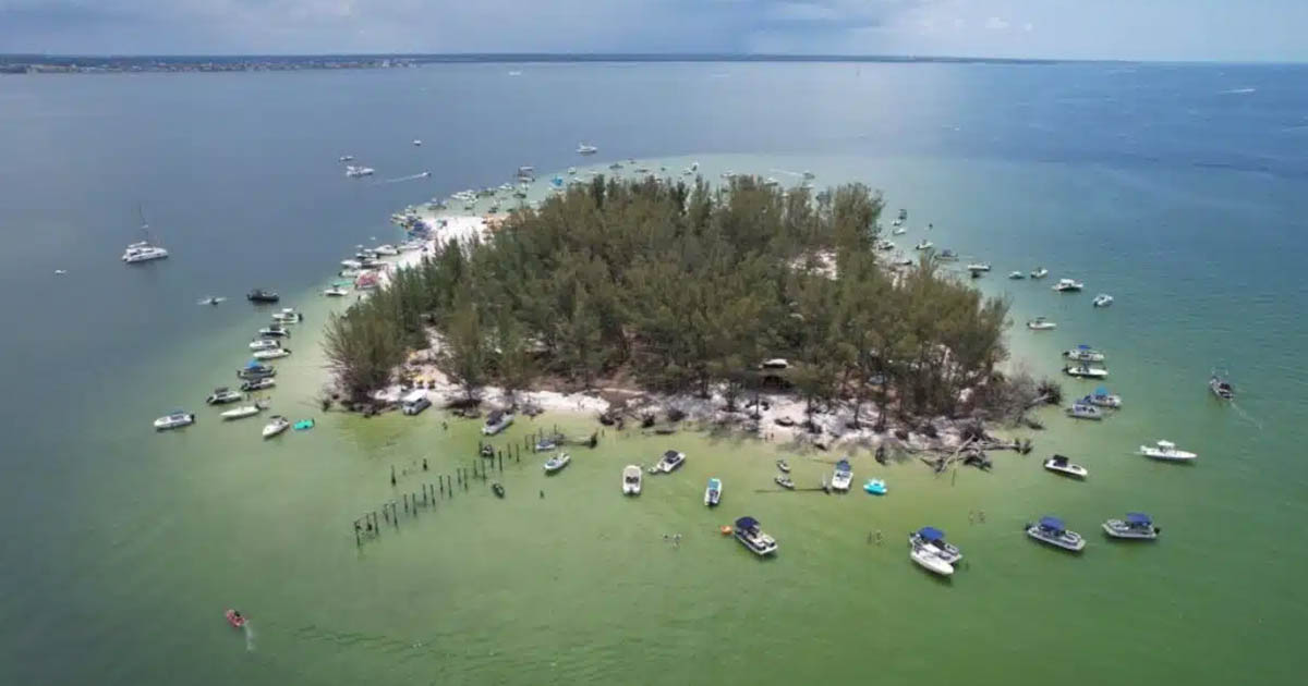 Four Friends Purchased a Deserted Florida Island for $65k and Turned ...