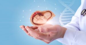 These Photos Capture The Stages of Baby Development Before Birth