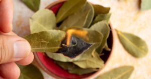 The Significance of Burning Bay Leaves in Your Home