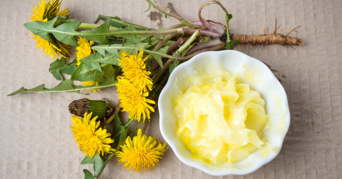 25 Reasons To Go & Pick Dandelions Right Now : The Hearty Soul