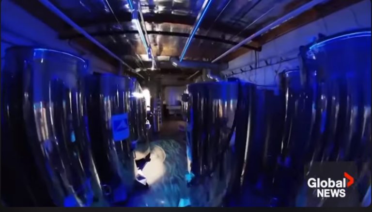 What Happened to The First Cryonically Preserved Humans?