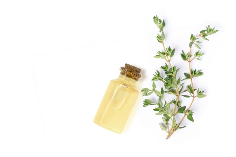 6 Essential Oils to You Need for an Effective Natural Mosquito Repellent