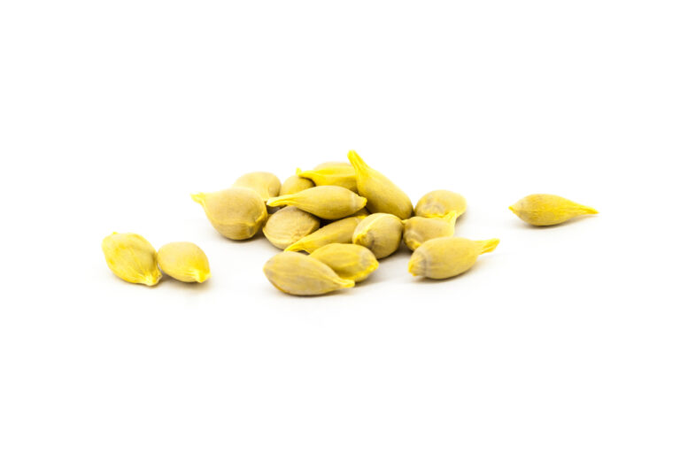 Don’t Throw Away Lemon Seeds- Here’s What You Can Do With Them.